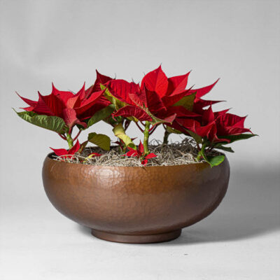 Copper Bowls & Boxes - Cobre Hand-Hammered Copper Gifts & Home Accents